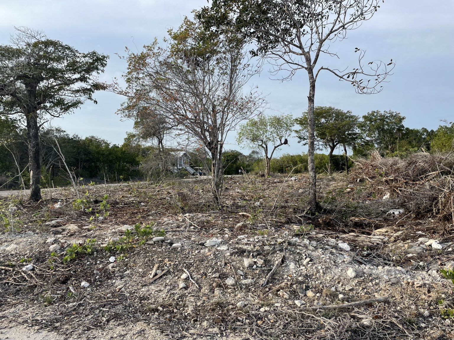 Commercial Lot at Secret Beach for Sale – Secret Beach Homes
